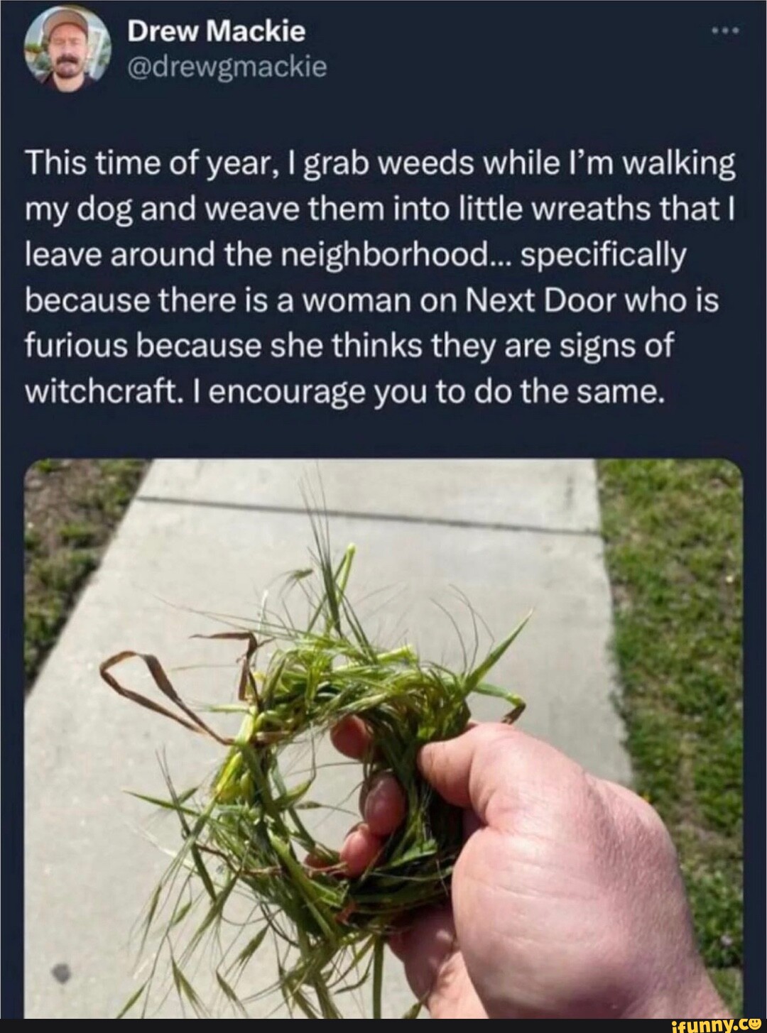 Drew Mackie This time of year, I grab weeds while I'm walking my dog ...