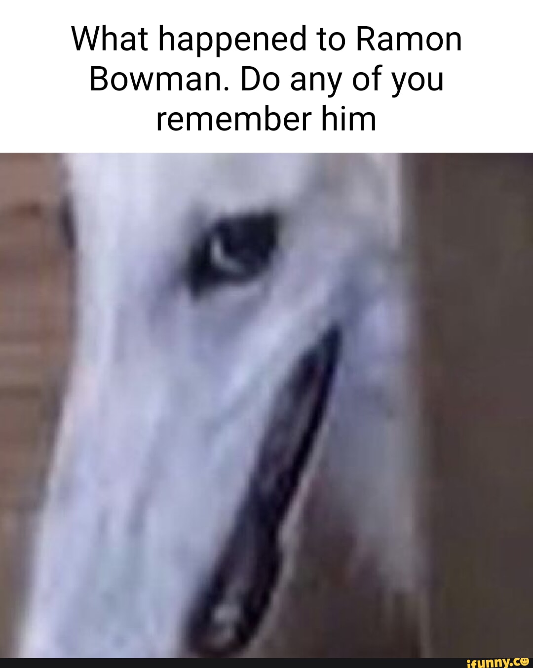 Bowman memes. Best Collection of funny Bowman pictures on iFunny