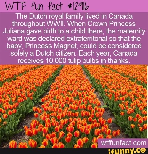 NTE fun The Dutch royal family lived in Canada throughout WWII. When ...