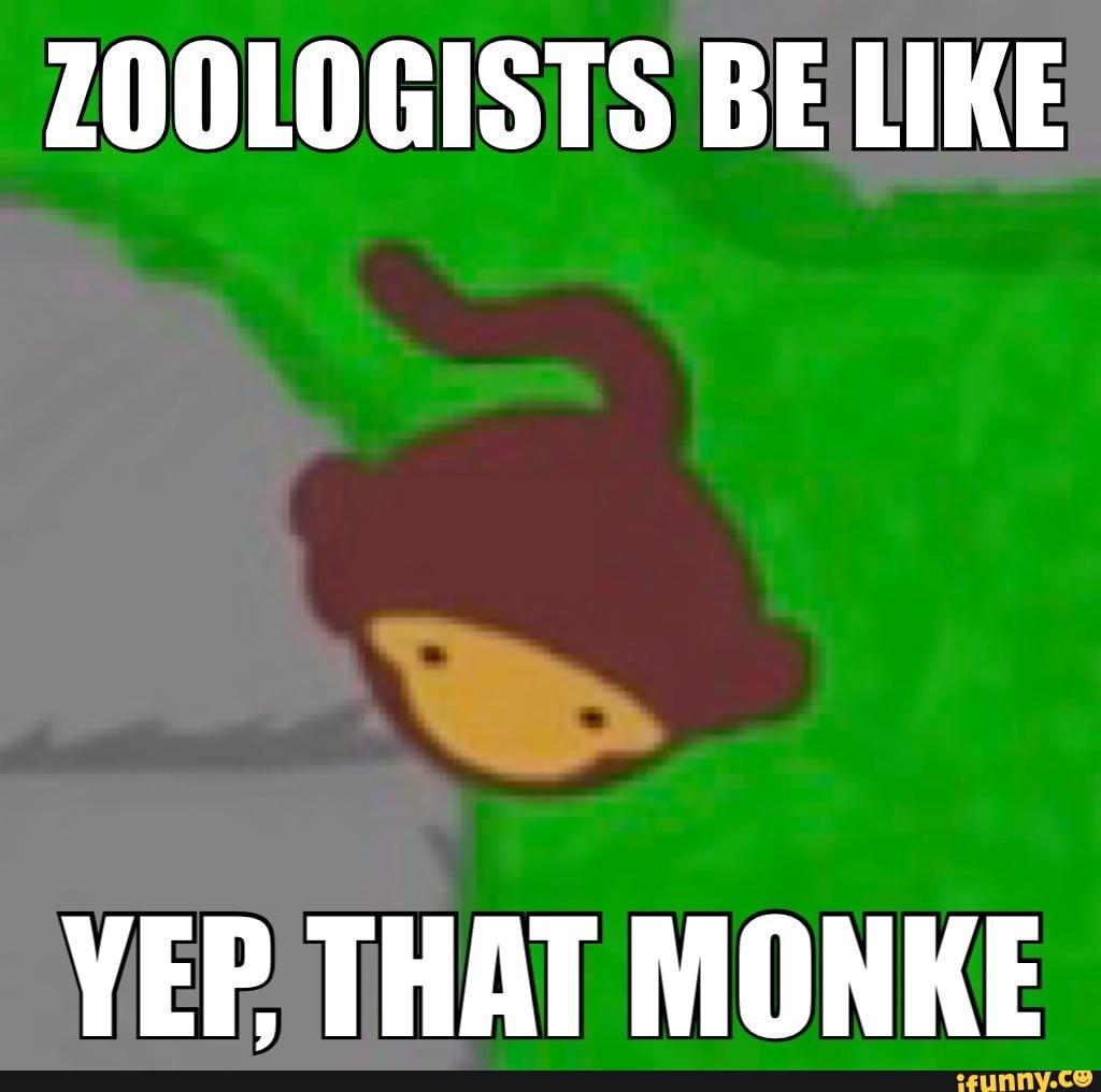 ZOOLOGISTS BE LIKE YEP THAT MONKE - iFunny