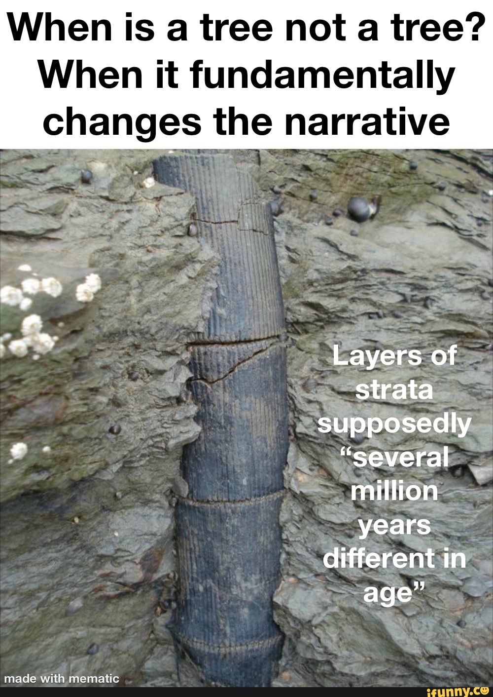 When is a tree not a tree? When it fundamentally changes the narrative ...