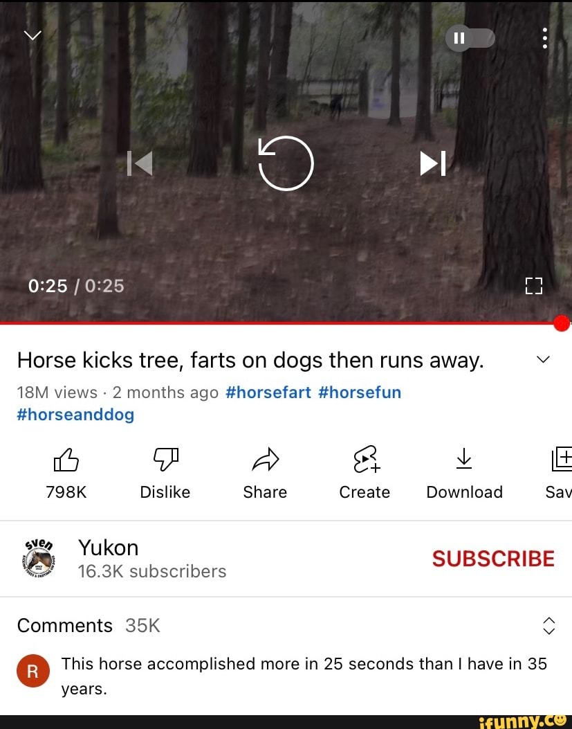 La Horse kicks tree, farts on dogs then runs away. views - 2 months ago ...