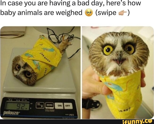 HOW TO MEASURE REMAINING DAYLIGHT WITH YOUR HAND 1: FACE the sun and ...