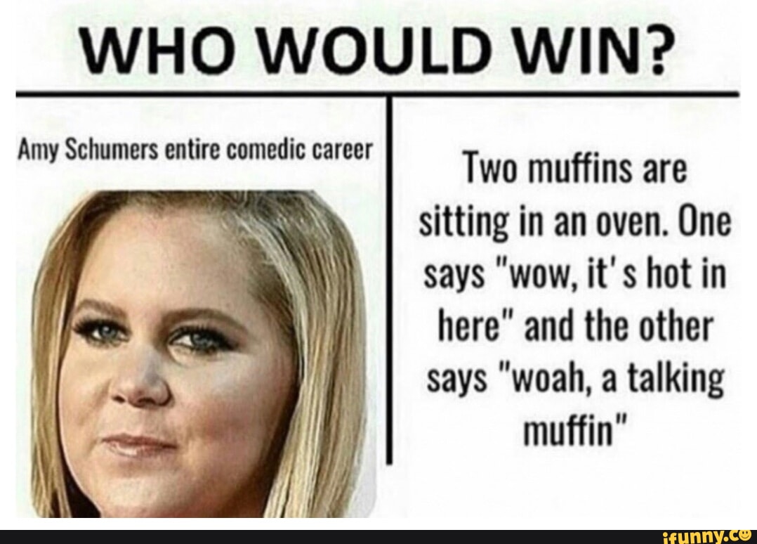 WHO WOULD WIN? Amy Schumers entire comedic career Two muffins are ...