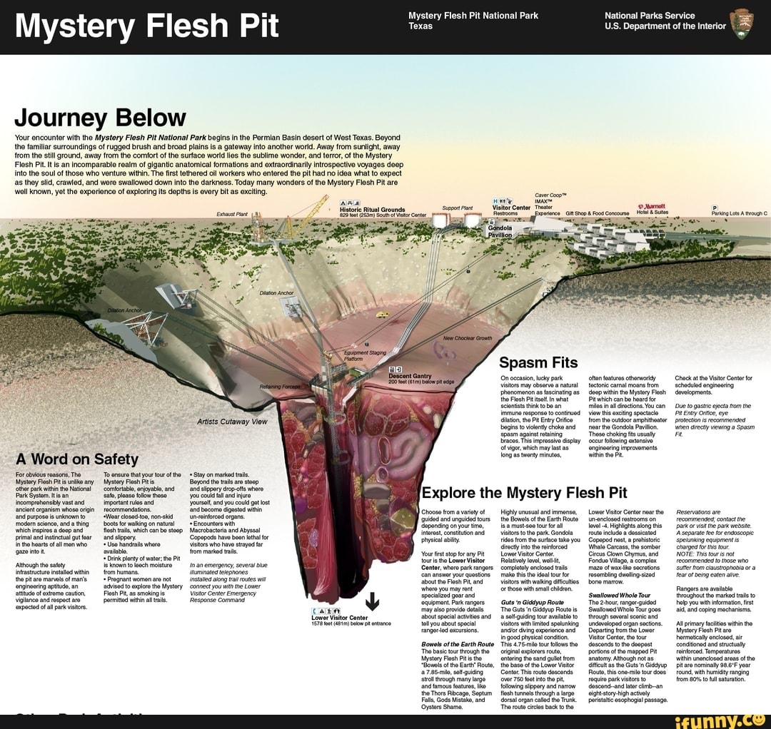Mystery Flesh Pit Journey Below 'Your the encounter familiar with the ...