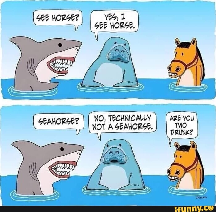 POY: I Catch Gary With No Shell on Laundry Day - iFunny
