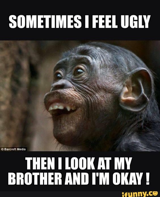 SOMETIMES I FEEL UGLY THEN LOOK AT MY BROTHER AND I'M OKAY! - iFunny