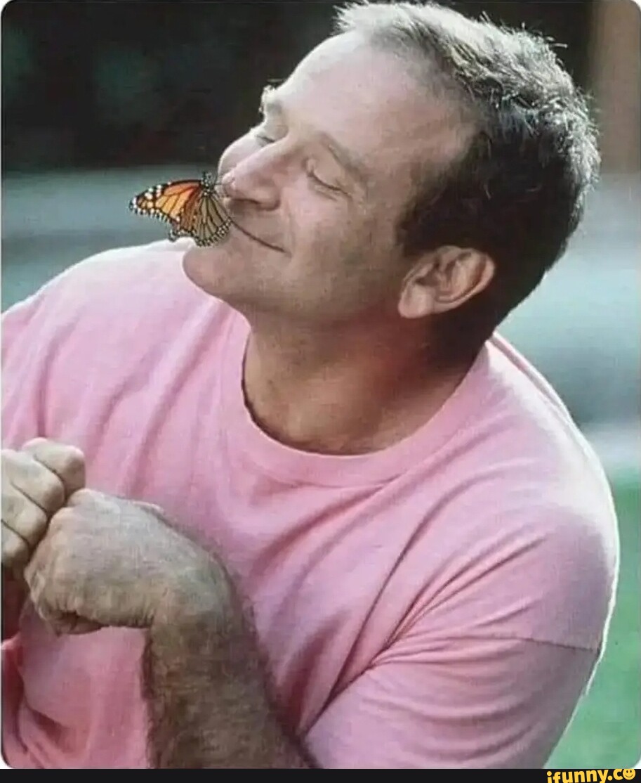 Robin Williams memes memes. The best memes on iFunny