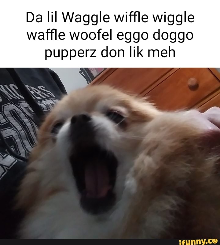 Waggle memes. Best Collection of funny Waggle pictures on iFunny