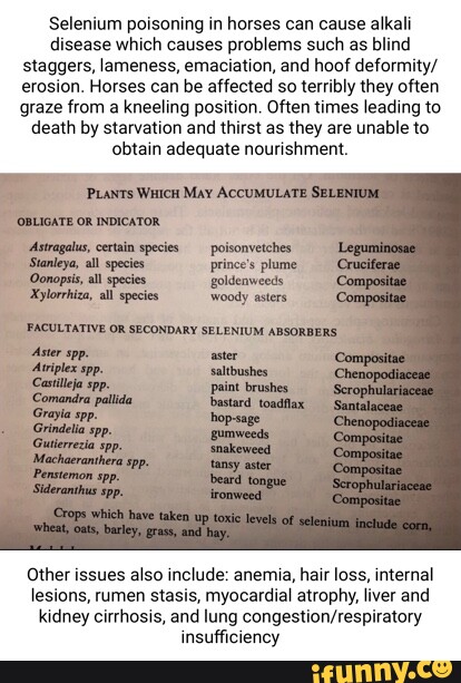 Selenium poisoning in in horses can cause alkali disease which causes ...