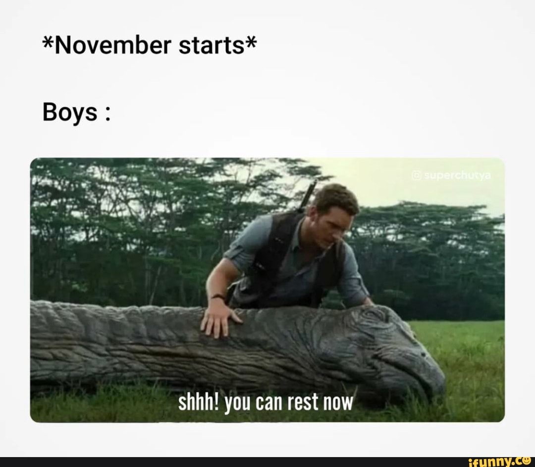 *November starts* Boys: shhh! you can rest now - iFunny