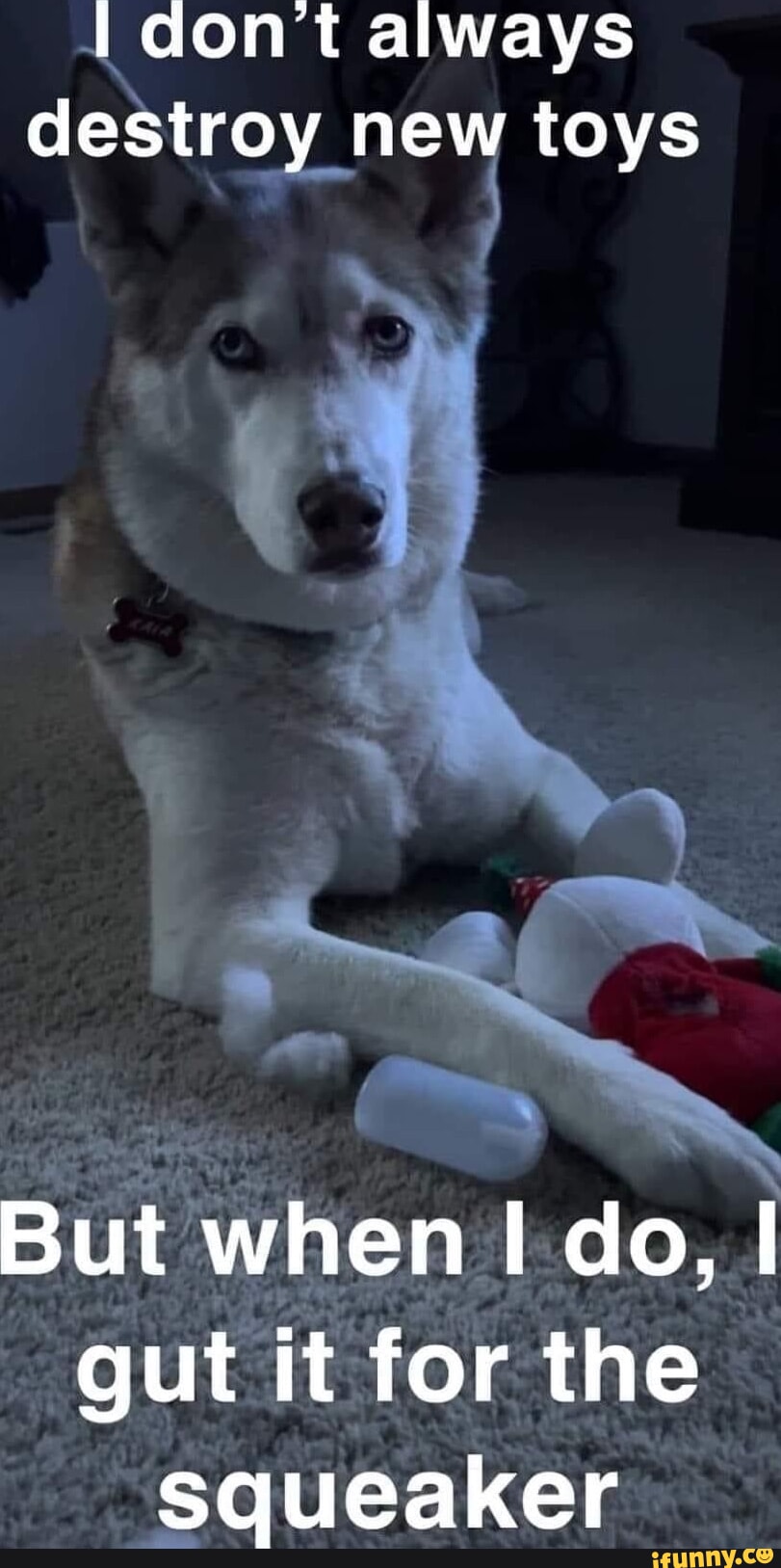 Squeaker memes. Best Collection of funny Squeaker pictures on iFunny