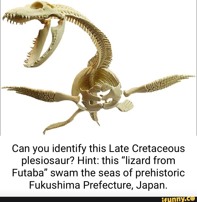 Can you identify this Late Cretaceous plesiosaur? Hint: this "lizard ...