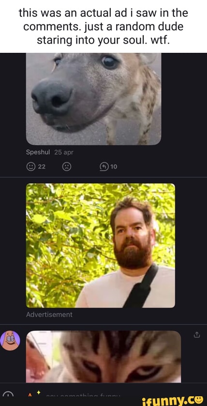 Staring memes. Best Collection of funny Staring pictures on iFunny