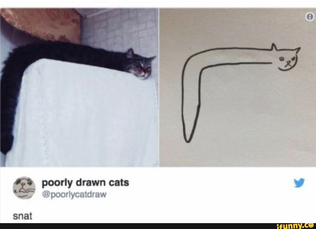Poorly drawn cats snat - iFunny