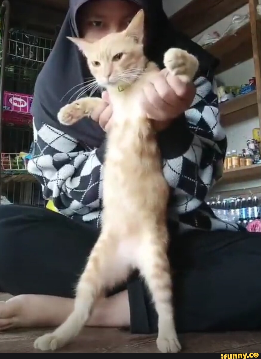 Stance memes. Best Collection of funny Stance pictures on iFunny