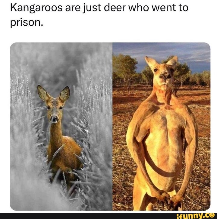 Picture memes hGBk5vNaA by DaisyMaeRoss - iFunny