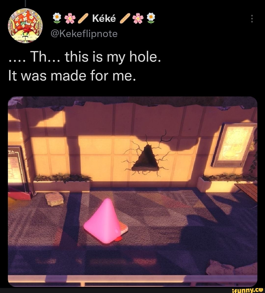 Kekeflipnote Th... this is my hole. It was made for me. - iFunny
