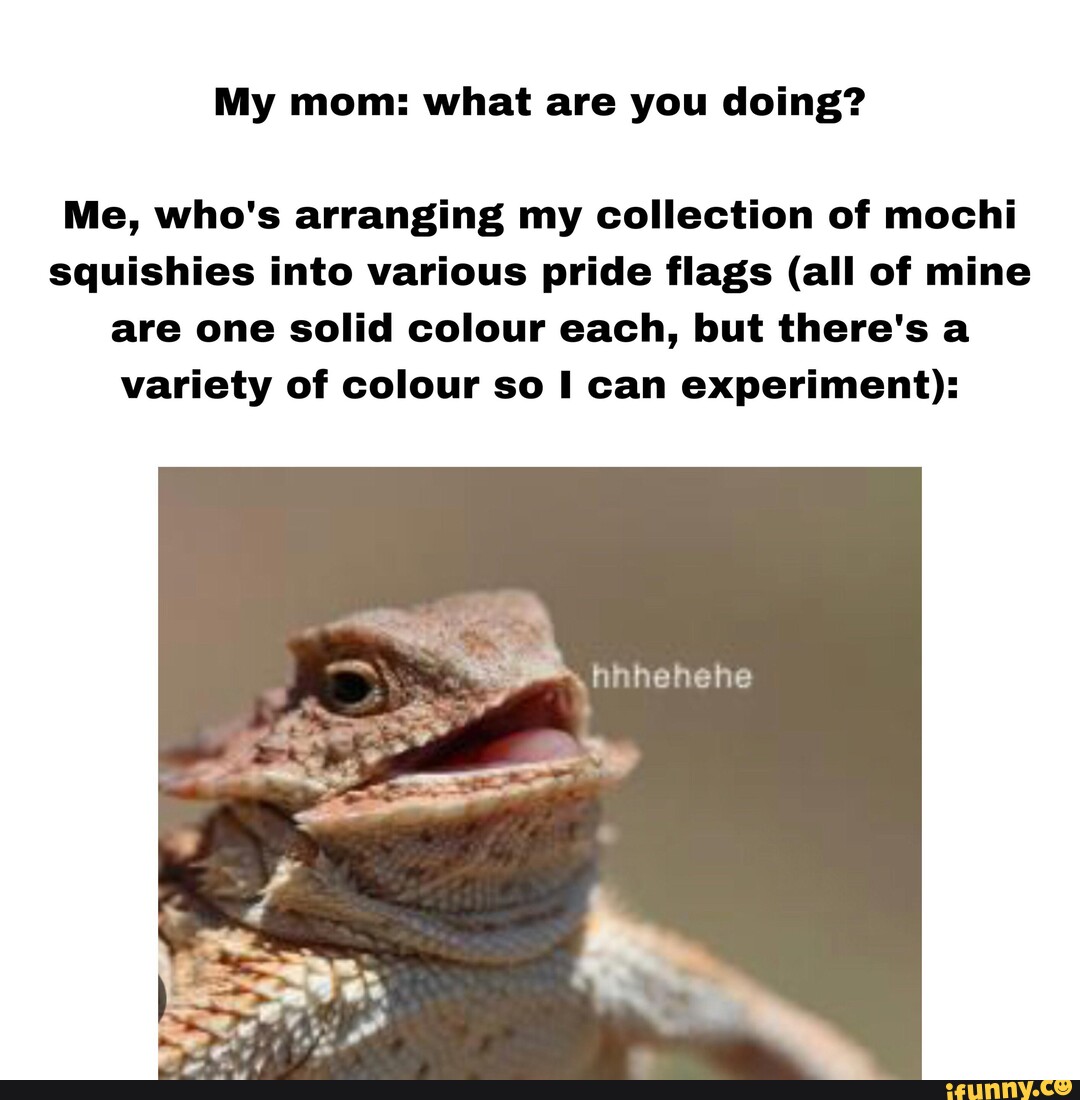 Squishies memes. Best Collection of funny Squishies pictures on iFunny