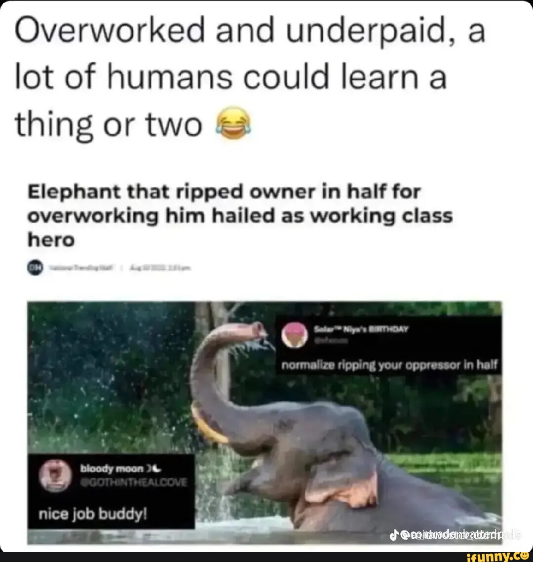 Overworking memes. Best Collection of funny Overworking pictures on iFunny