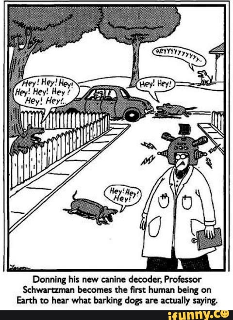 Donning his new canine decoder, Professo! Schwartzman becomes the first ...