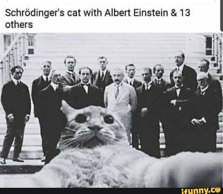 Schródinger's cat with Albert Einstein 13 others - iFunny