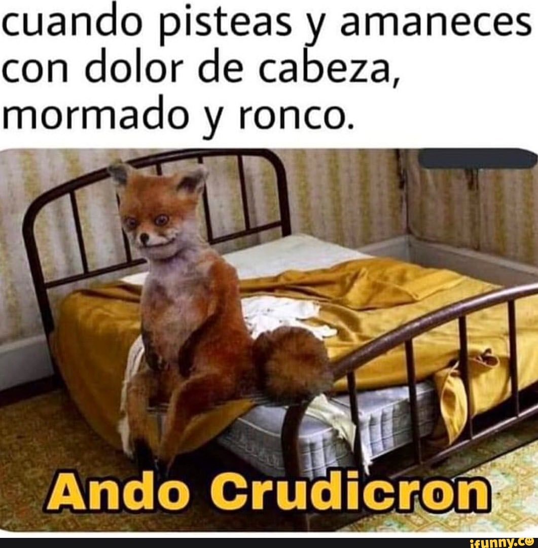 Cuando pisteas y amaneces con dolor de calbeza, mormado y ronco. SS ...