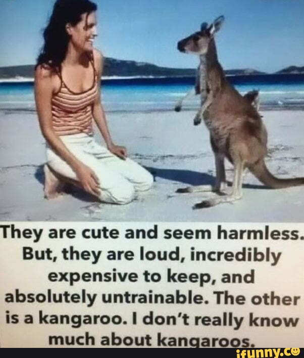 Untrainable memes. Best Collection of funny Untrainable pictures on iFunny