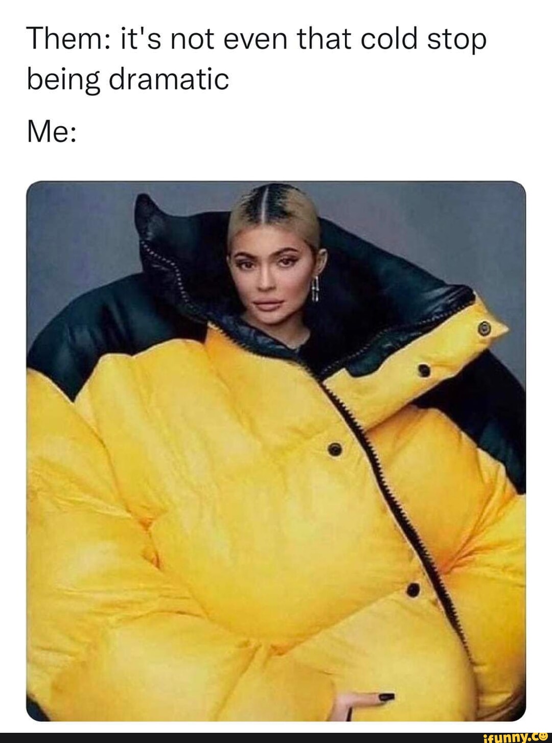 Them: it's not even that cold stop being dramatic Me: - iFunny