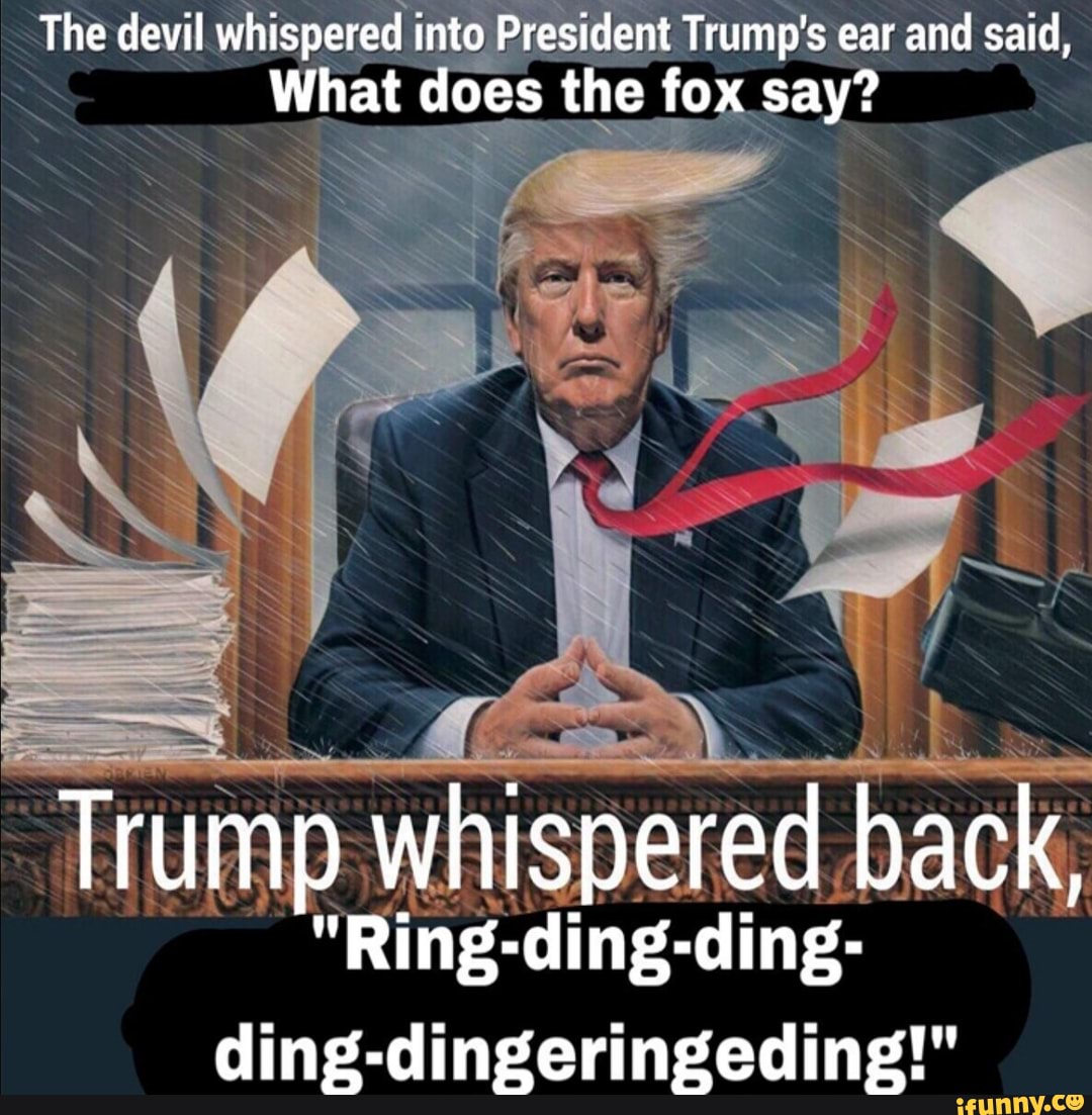 Dingeringeding memes. Best Collection of funny Dingeringeding pictures ...