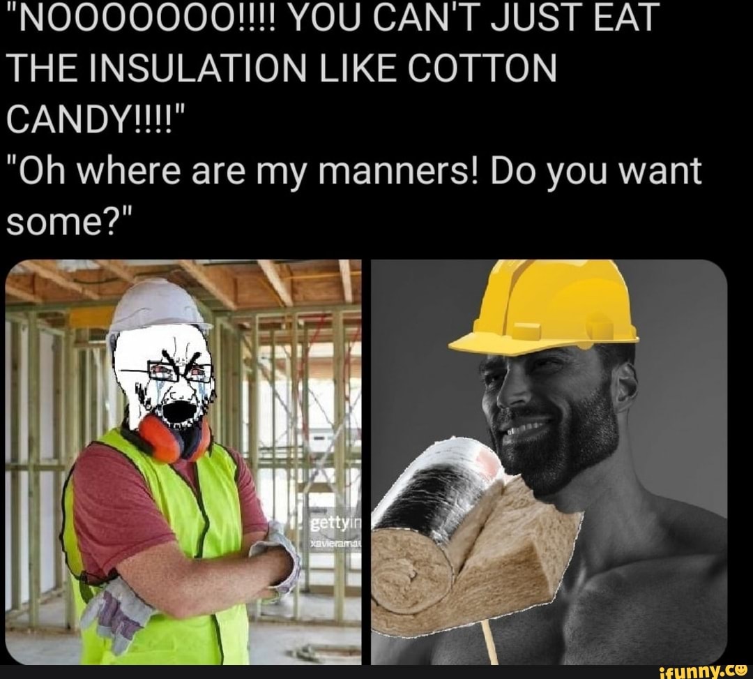 "NOOOOOOO!!!! YOU CAN'T JUST EAT THE INSULATION LIKE COTTON "Oh where ...