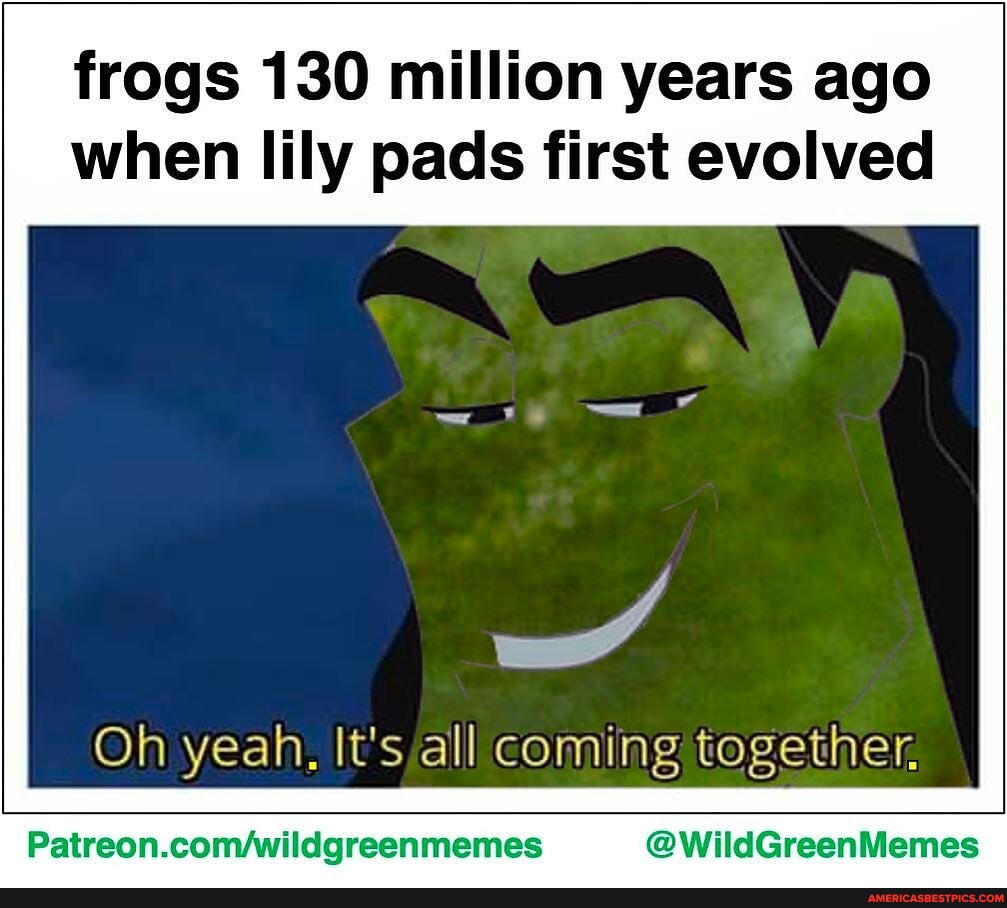 🐸 Meme by @beingevolved - frogs 130 million years ago when lily pads ...