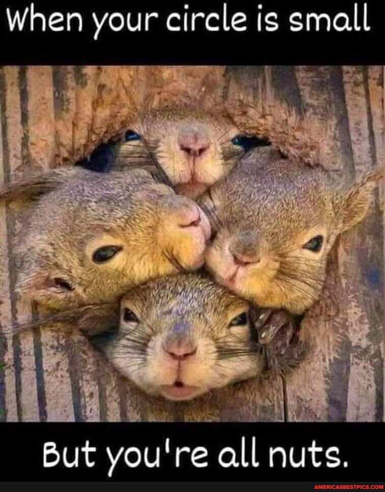 When your circle is small But you're all nuts. - America’s best pics ...
