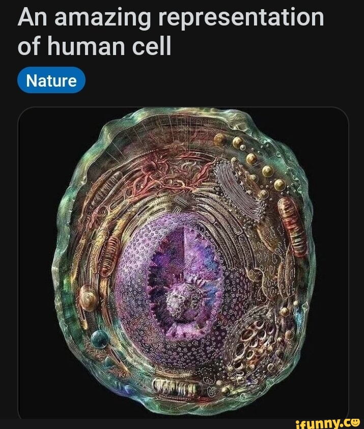 An amazing representation of human cell Nature - iFunny