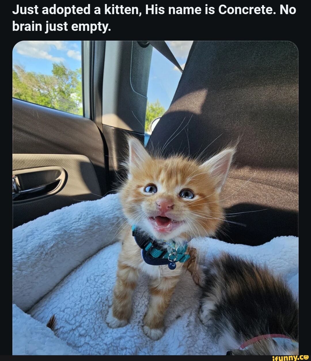 Empty memes. Best Collection of funny Empty pictures on iFunny