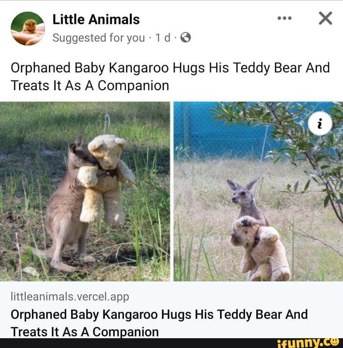 Vercel memes. Best Collection of funny Vercel pictures on iFunny