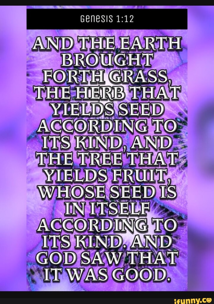 GENESIS AND THE EARTH BROUGHT FORTH,GRASS, THE HERB THAT YIELDS SEED ...