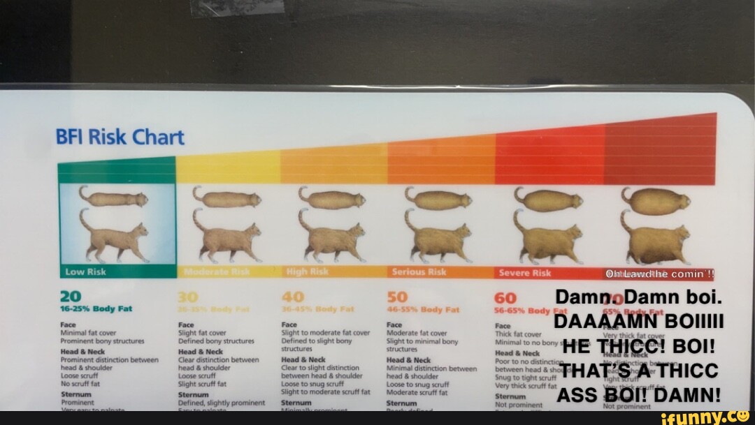 BFI Risk Chart comin DamnoDamn boi. DAAAAWIN' BOIIIII HE THICC! BOI ...