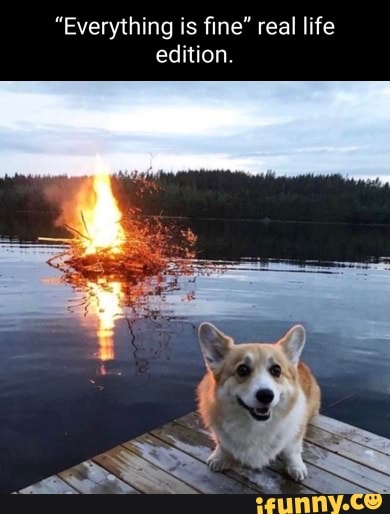 "Everything is fine" real life edition. - iFunny
