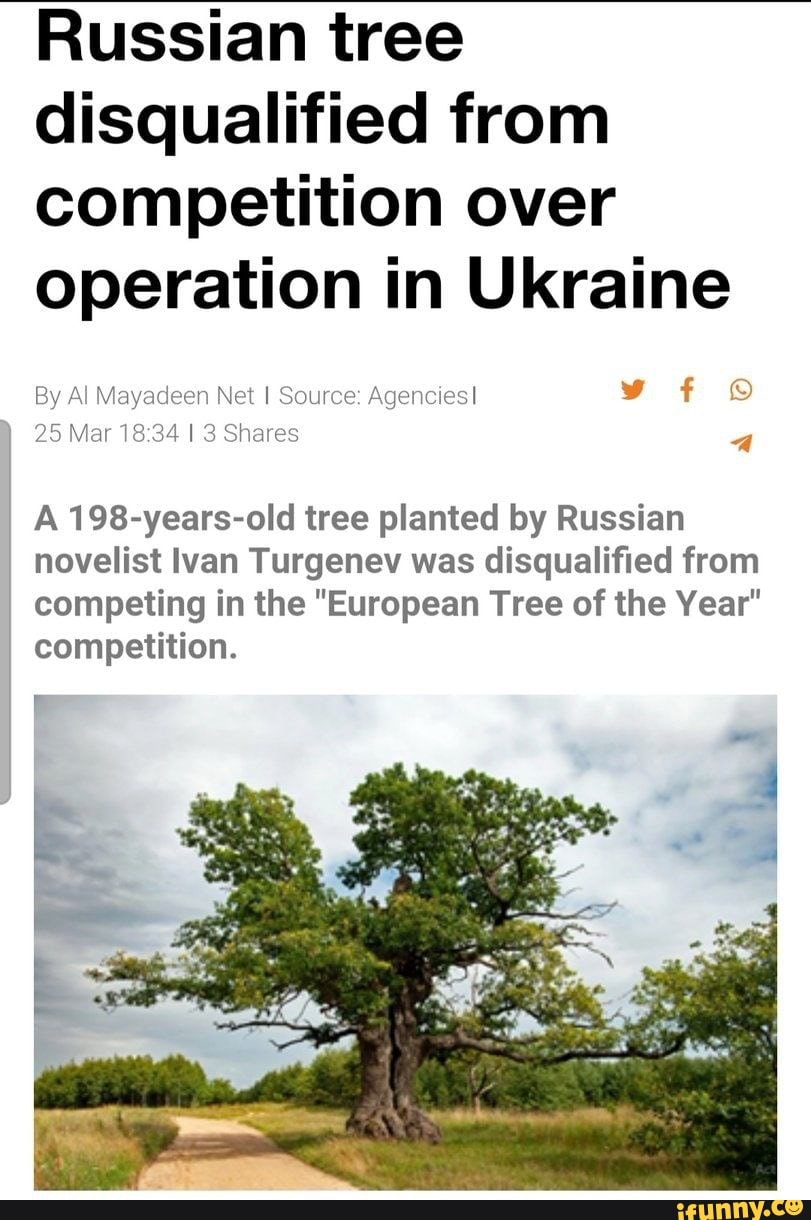 Russian tree disqualified from competition over operation in Ukraine By ...