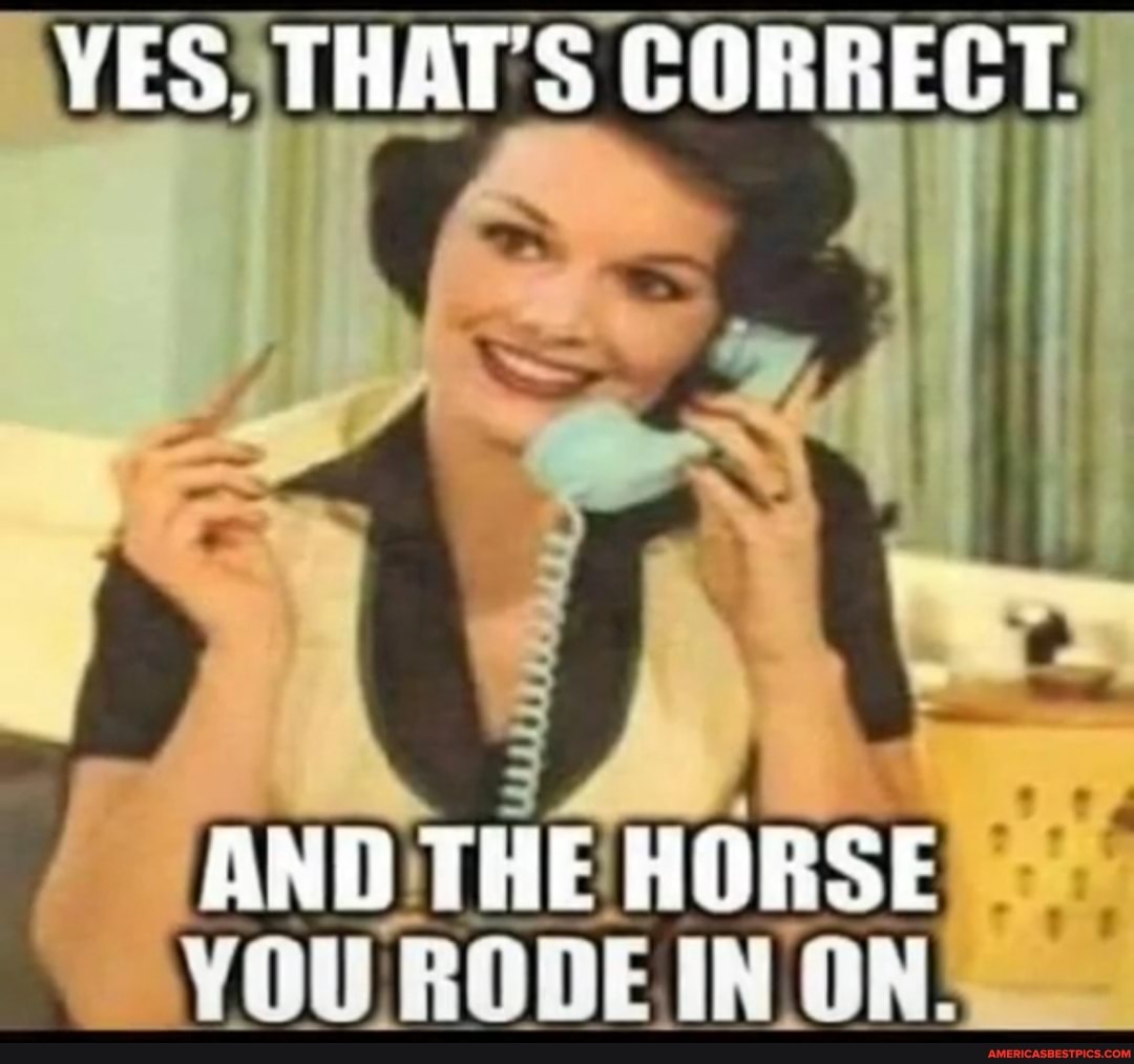 YES, THATS CORRECT. AND THE HORSE - America’s best pics and videos