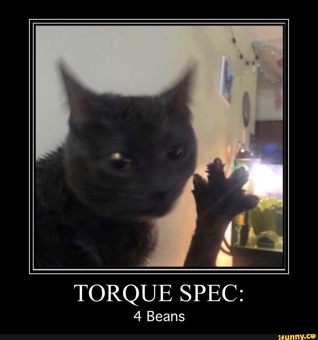 Torque memes. Best Collection of funny Torque pictures on iFunny