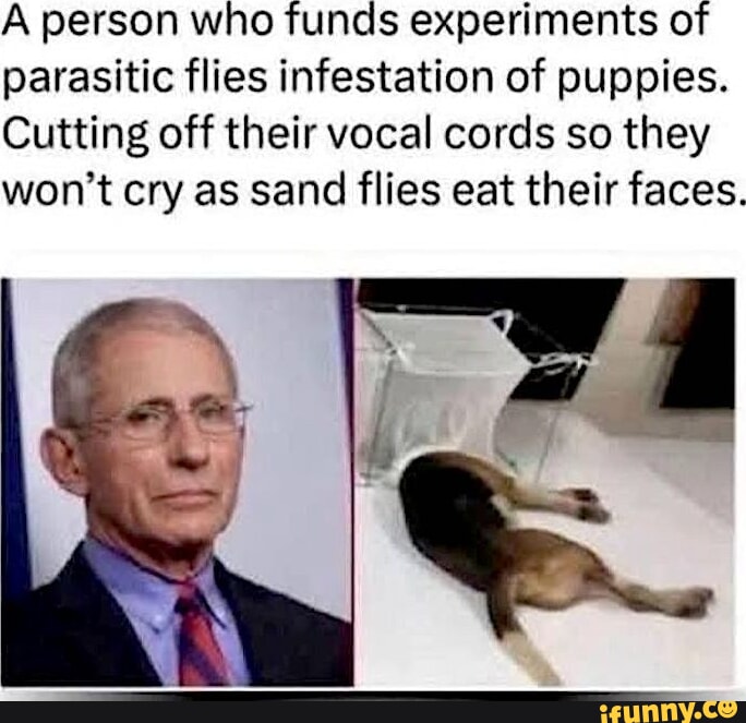 A person who funds experiments of parasitic flies infestation of ...