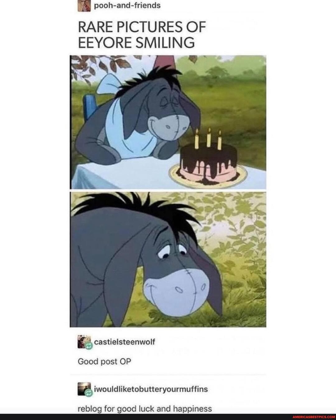 RARE PICTURES OF EEYORE SMILING ff castielsteenwolf Good post OP ...