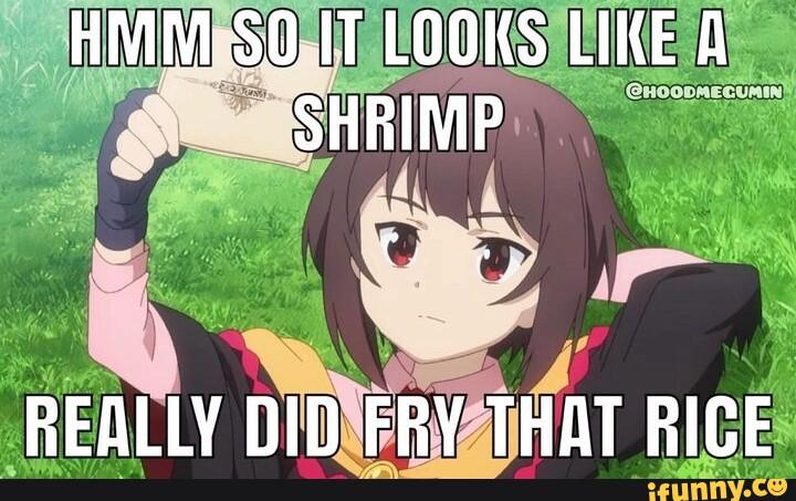 HMM SOIT LOOKS LIKE SHRIMP REALLY DID FRY THAT RICE - iFunny