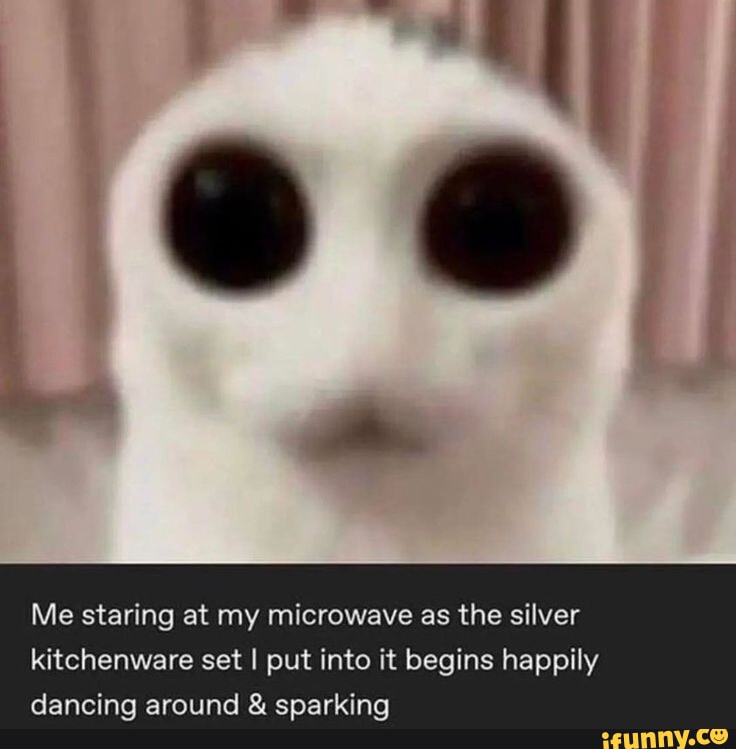 Staring memes. Best Collection of funny Staring pictures on iFunny