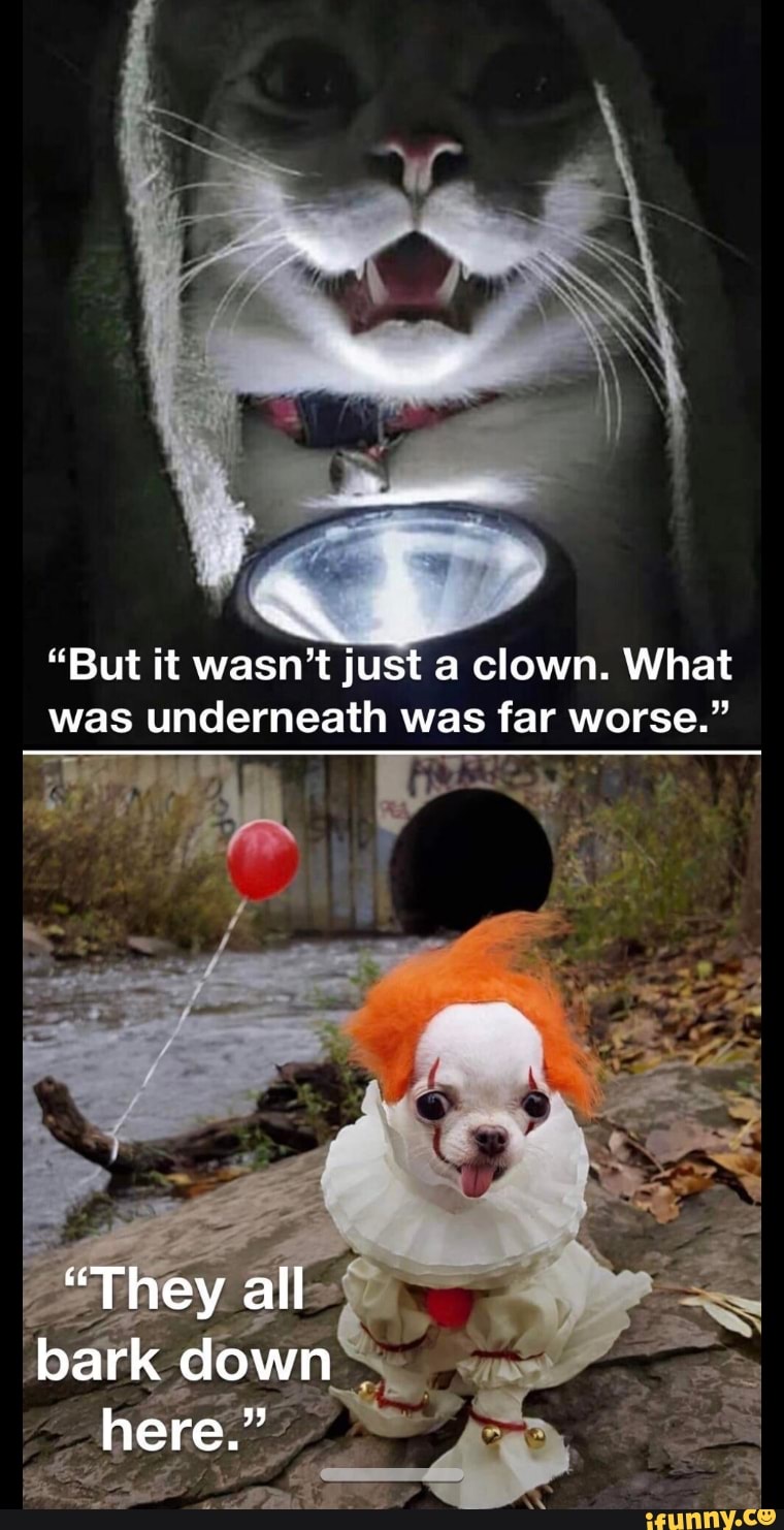 Forchan memes. Best Collection of funny Forchan pictures on iFunny