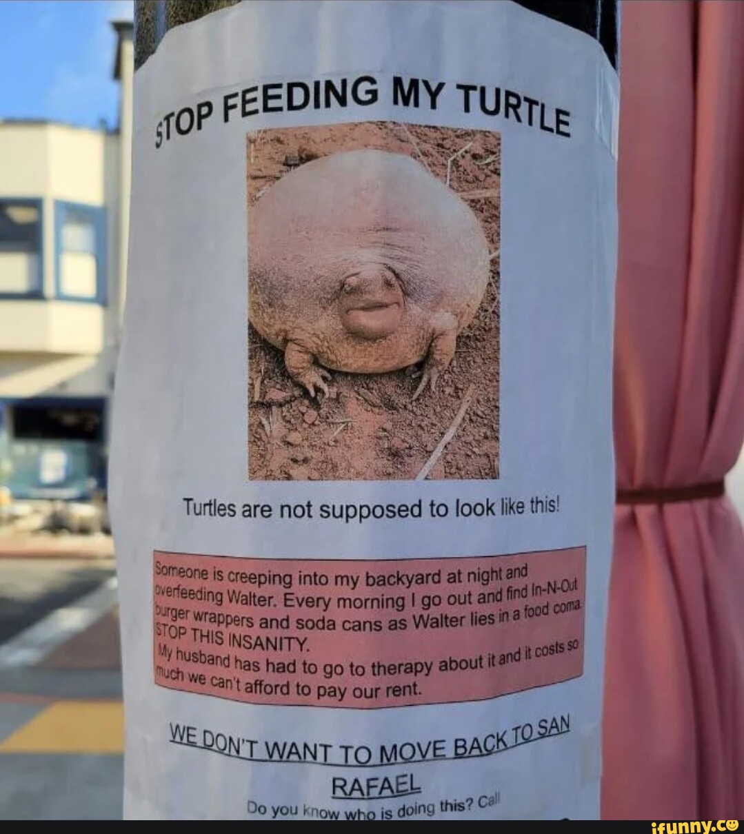 Wrappers memes. Best Collection of funny Wrappers pictures on iFunny