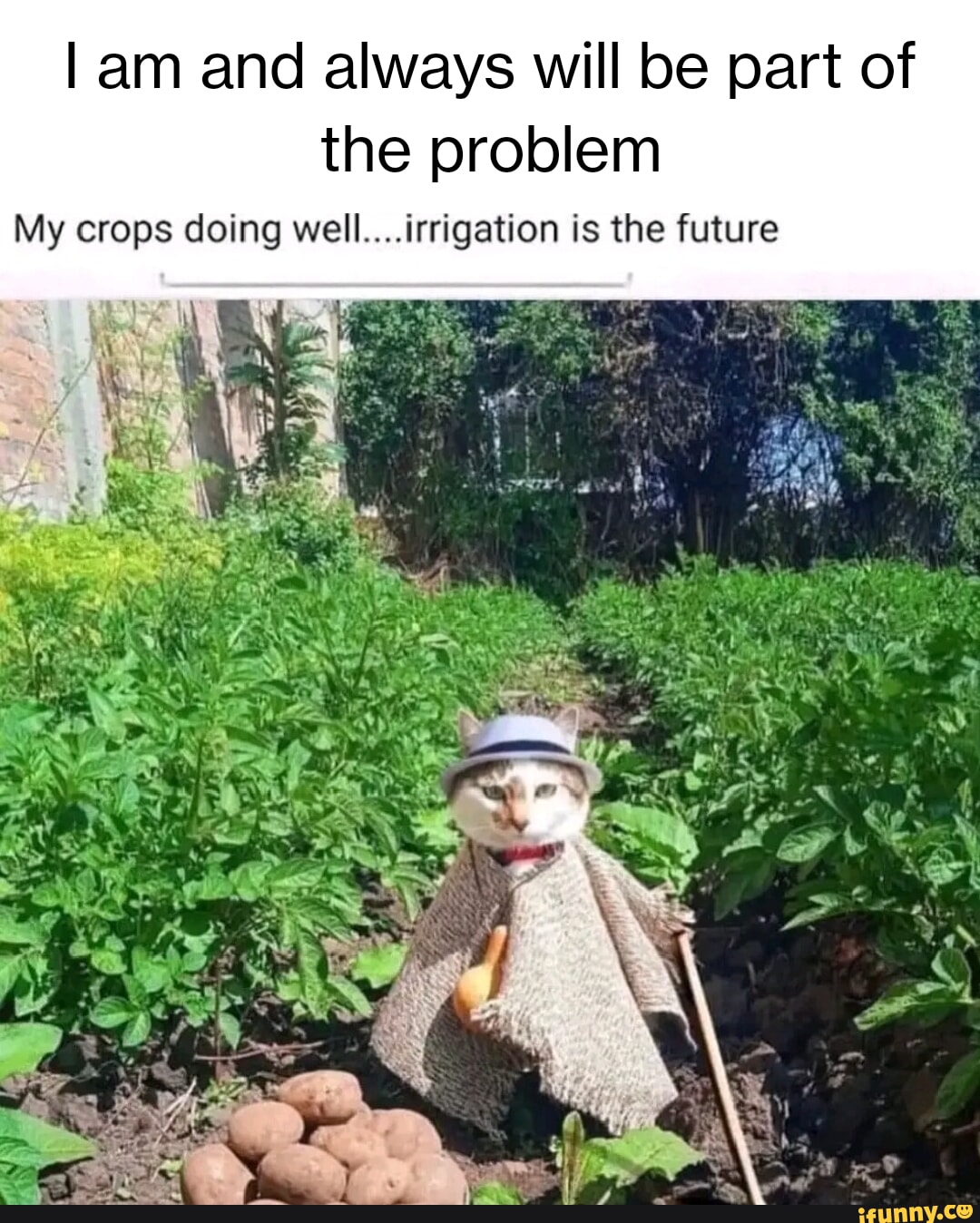 Am and always will be part of the problem My crops doing well ...