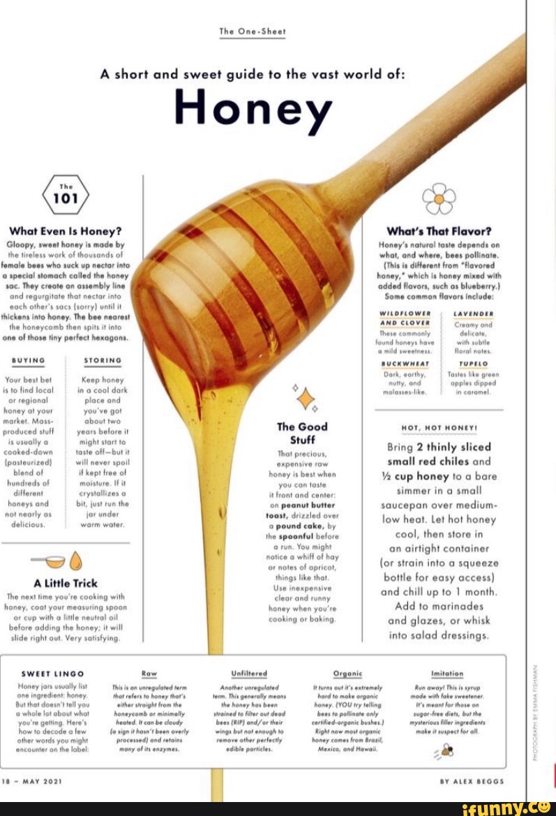 Gloopy memes. Best Collection of funny Gloopy pictures on iFunny